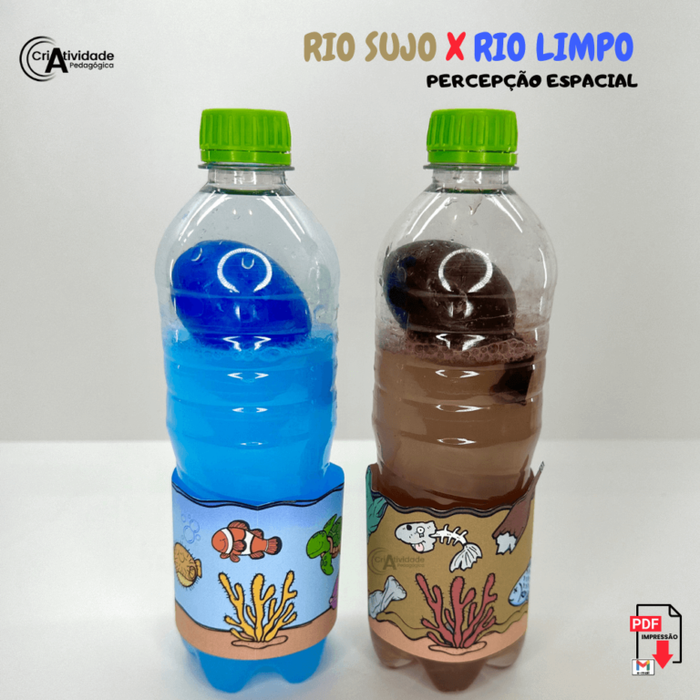 Rio sujo X rio limpo percepção espacial - Criatividade Pedagógica